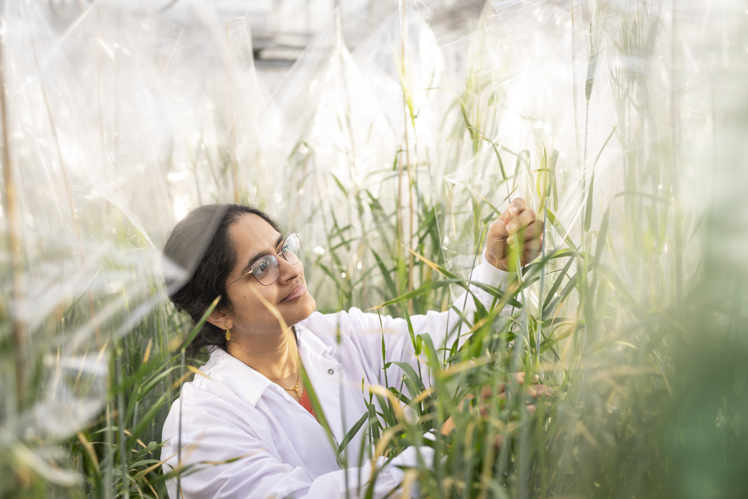 Innovation Saskatchewan Invests Nearly $2.2M to Accelerate Tech in Key ...