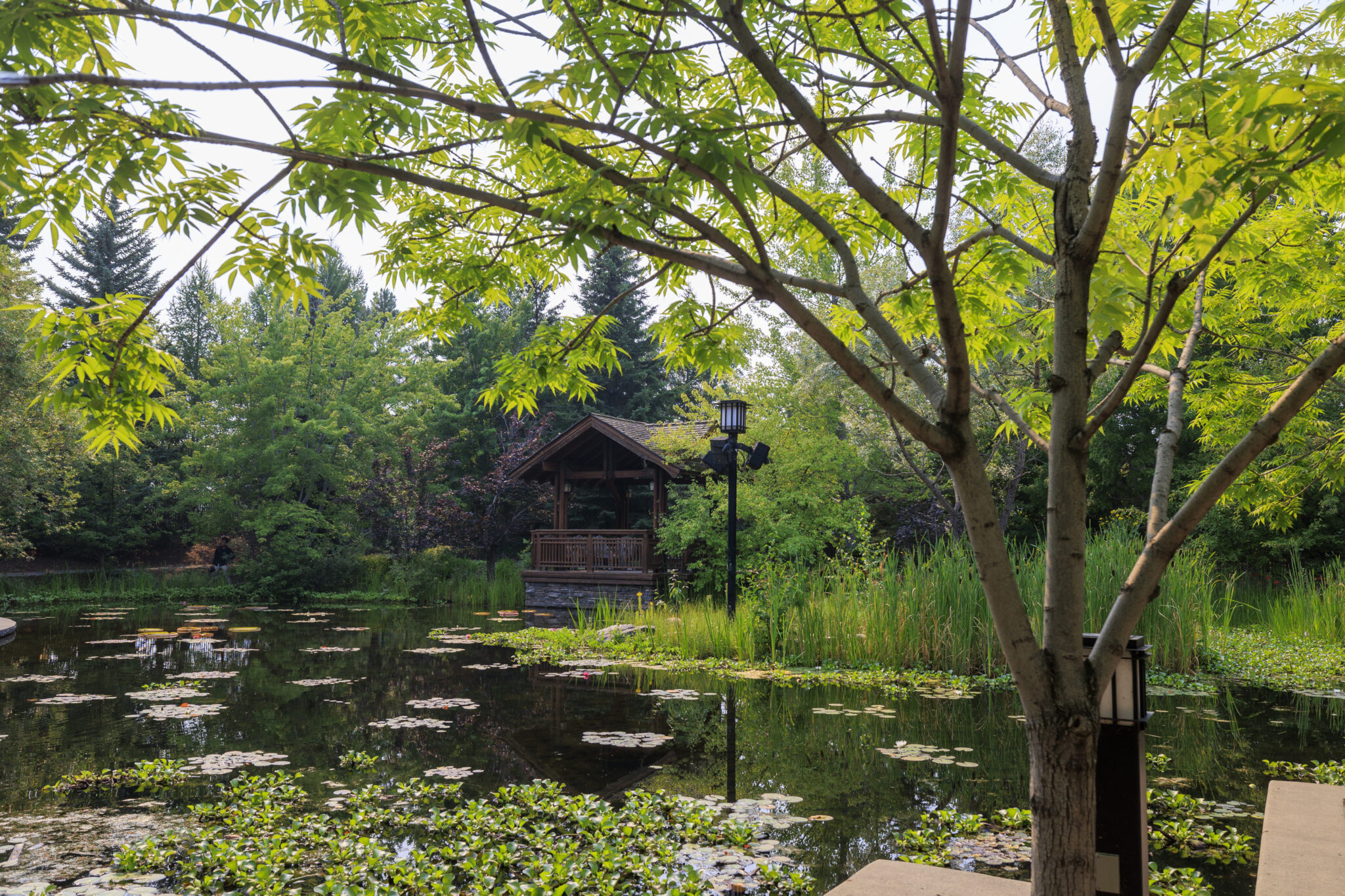 Outdoor spaces | Innovation Saskatchewan R+T Park Saskatoon