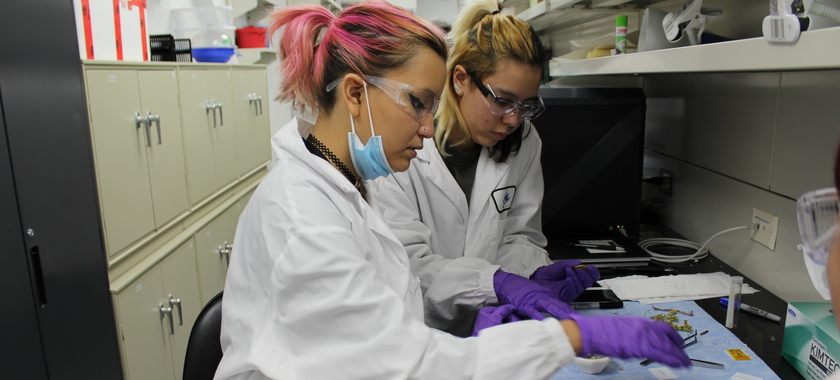 CLS Advances Equitable Education Through Community-Based Indigenous ...